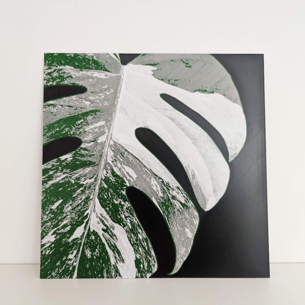 Monstera Albo Leaf, Hueforge Wall Art, 3D Print – noordinaryleaf