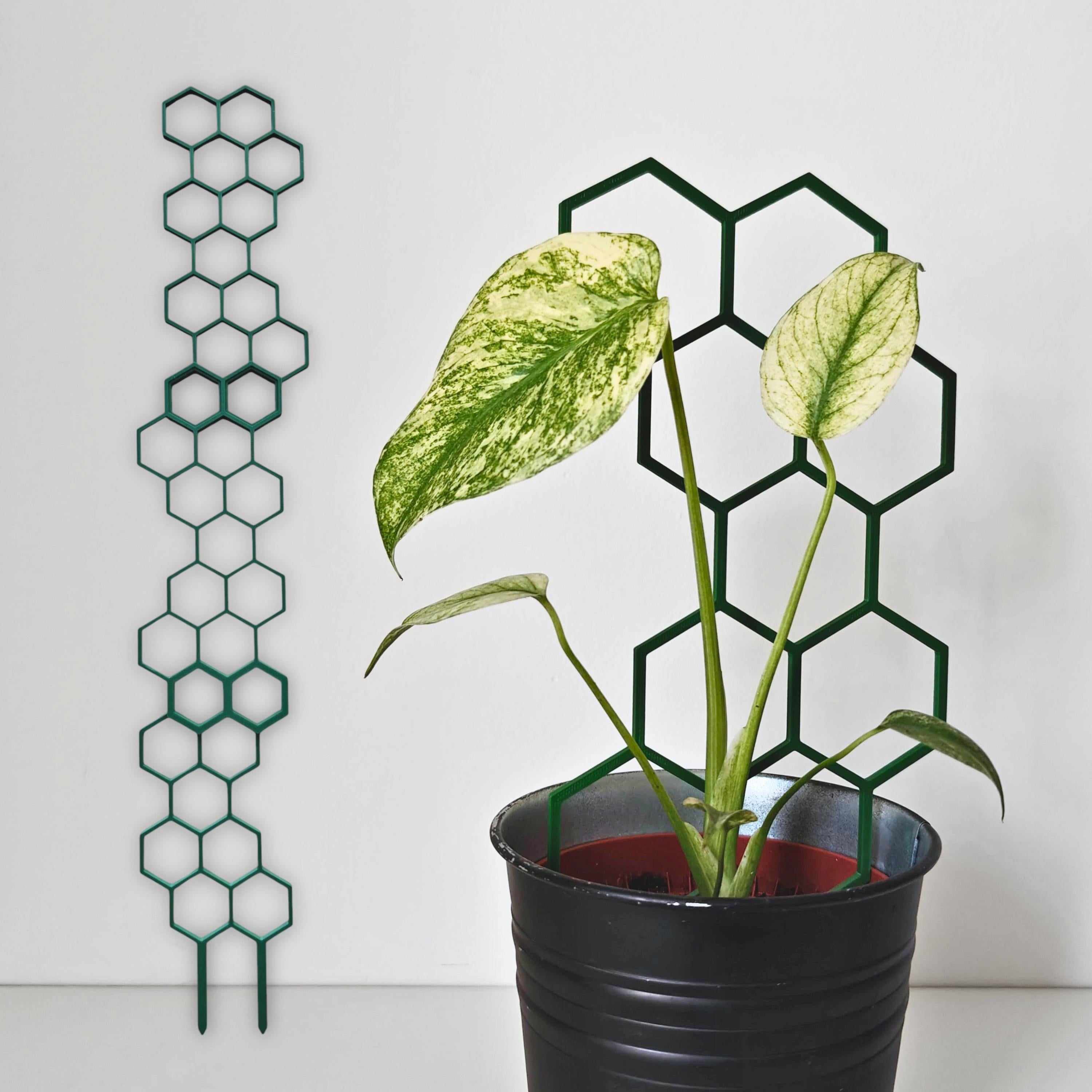 Extra Tall Extendable Trellis - Hponeycomb – noordinaryleaf